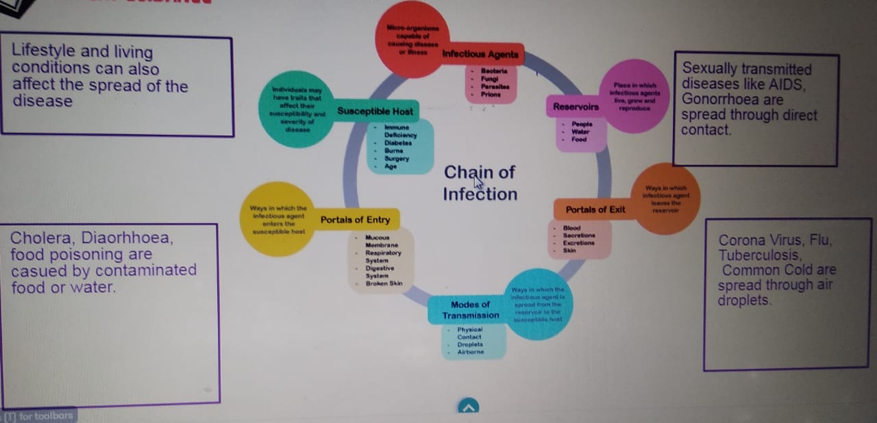 GCSE OCR 21st Century Biology Keeping Healthy Complete Revision Summary ...