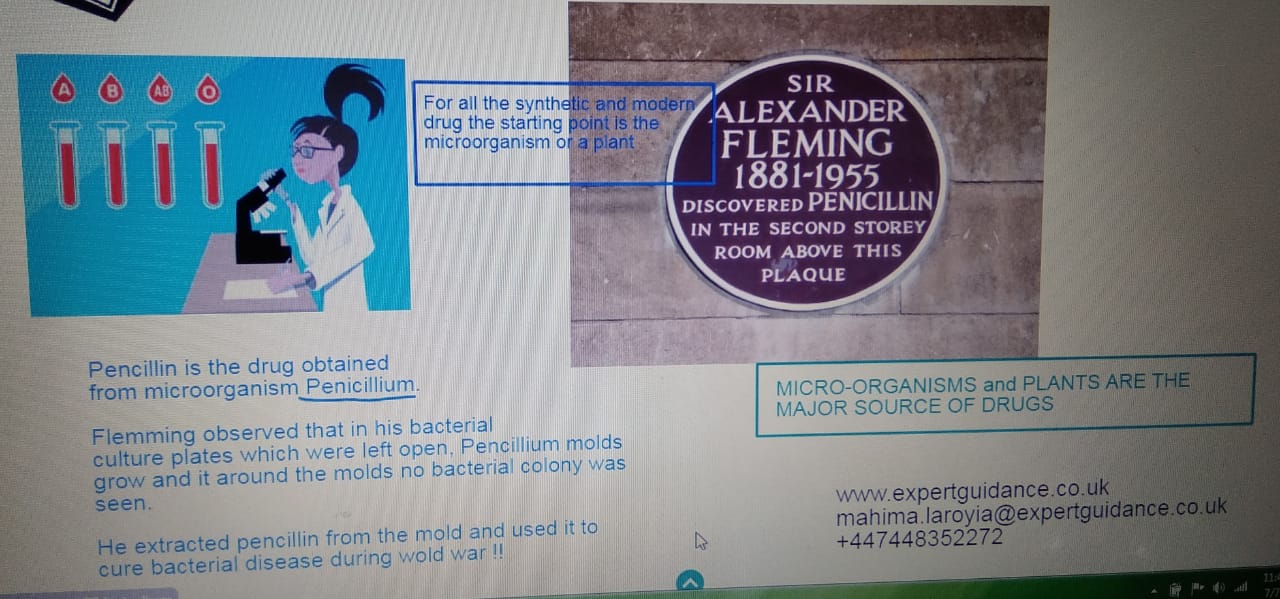GCSE OCR 21st Century Biology Keeping Healthy Complete Revision Summary ...
