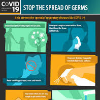 GCSE OCR 21st Century Biology Keeping Healthy Complete Revision Summary ...